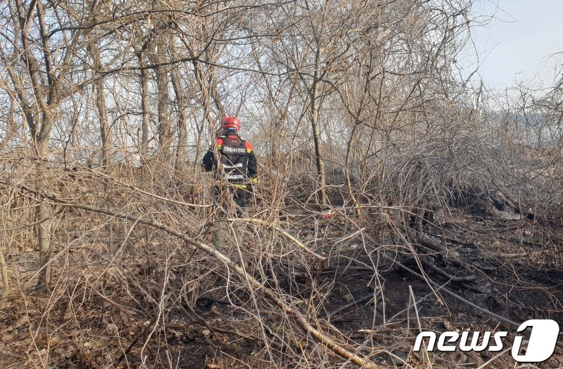 서산 성연면 야산서 불43분 만에 진화