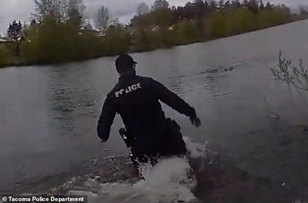 Heartstopping Moment Washington Cops Dive Into Freezing Lake To Save