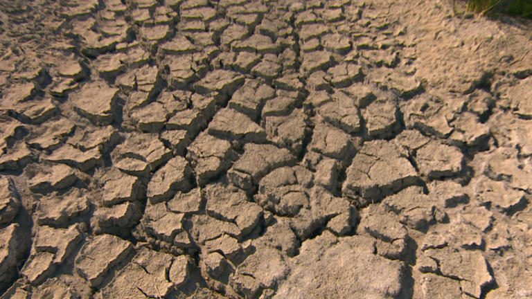 Les Pluies Printanières Ravivent Lespoir Des Agriculteurs Lésés Par La