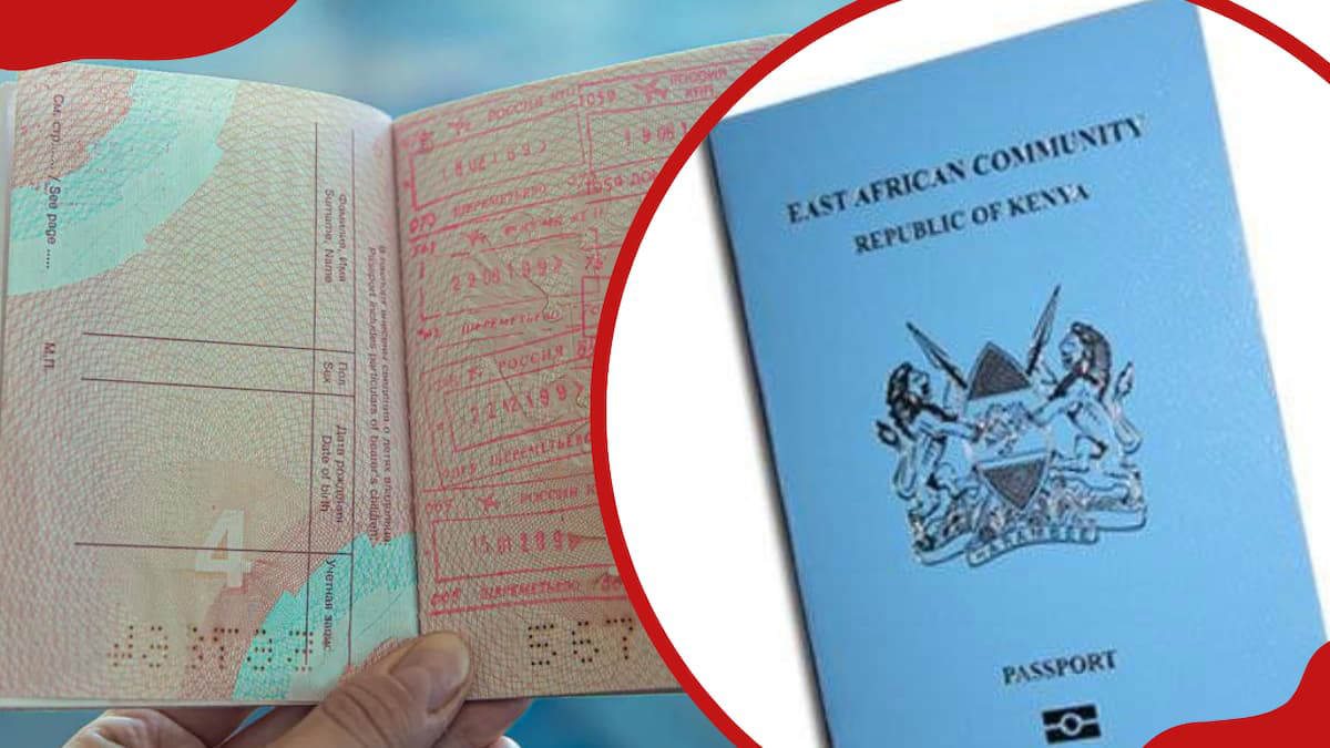 Whats The Difference Between Visa And Passport Everything You Should Know