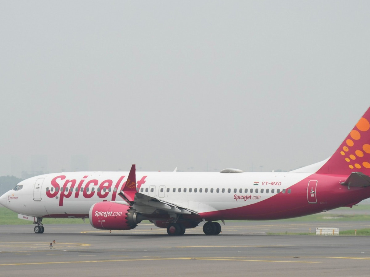 Leh Bound Spicejet Flight Returns To Delhi Airport After Bird Hit