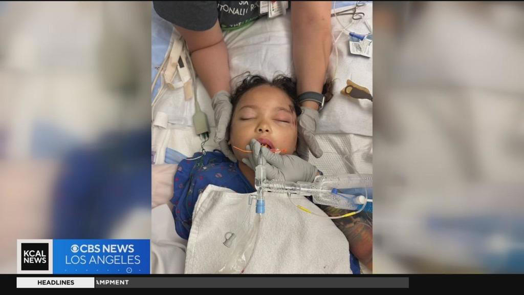 5 Year Old Girl Remains In Critical Condition After Violent Crash With