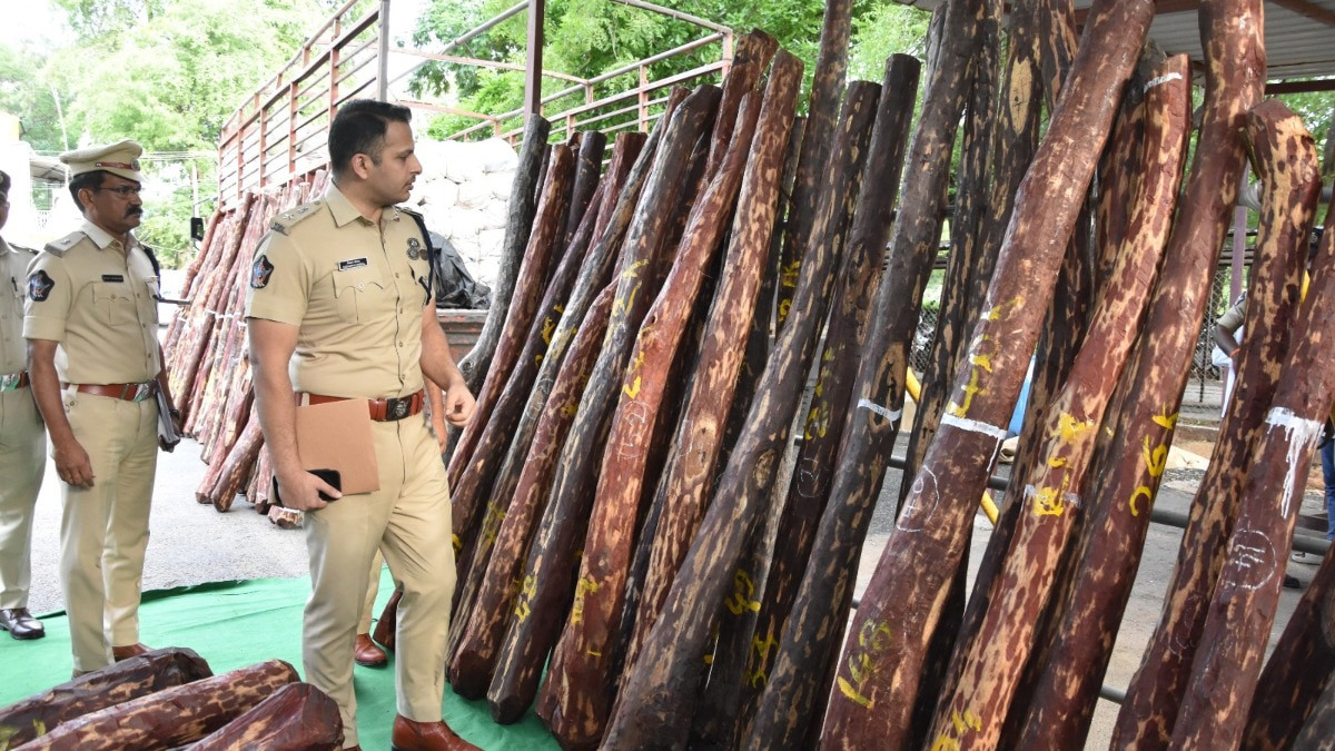 4 Arrested For Smuggling Red Sandalwood Worth Rs 19 Crore In Andhra