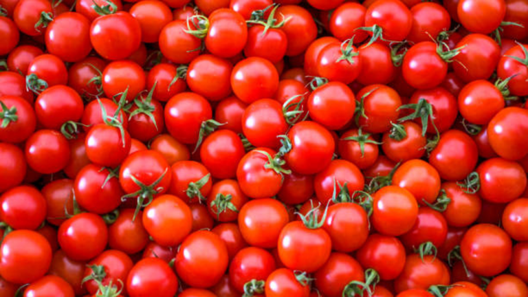 Tomato Costs Skyrocket To Rs 80 Per Kg As Monsoon Disrupts Supply Details