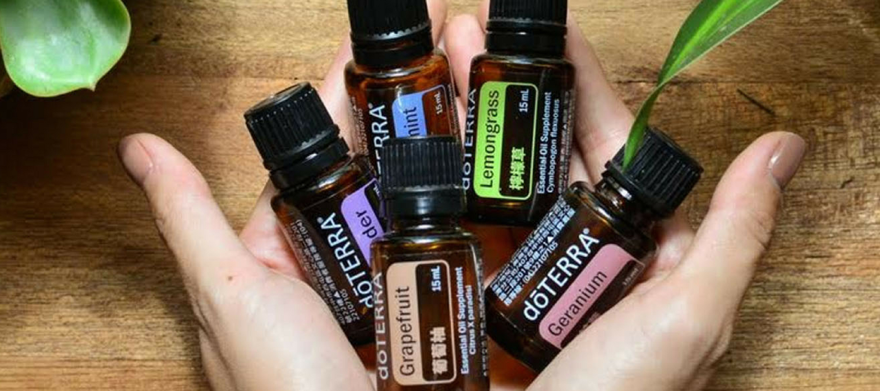 ¿por Qué Trabajo Con Aceites Esenciales Doterra