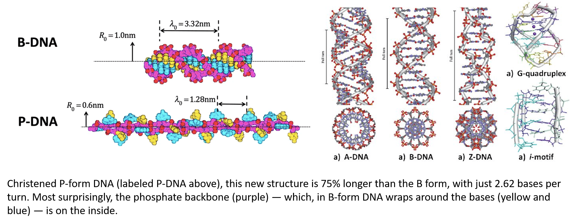 The Morphogenic Field Is Real And These Scientists Show How To Use It