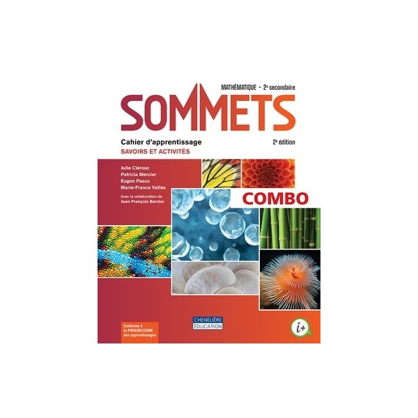 Cahier De Savoirs Et Dactivités Sommets 2e édition Version