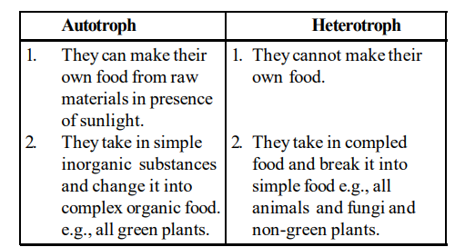 Differentiate Between Autotrophs And Heterotrophs Filo