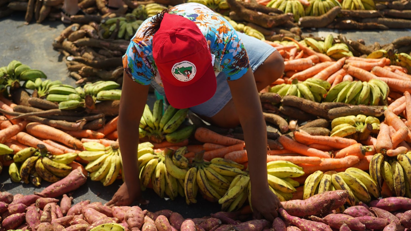 Solidariedade Sem Terra Chega à 1 Milhão De Marmitas E 5 Mil Toneladas