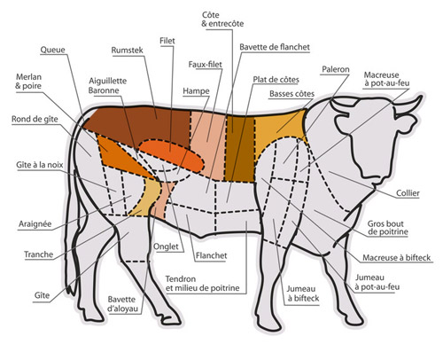 Quelques Conseils Sur La Découpe Du Boeuf