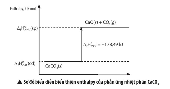 Cách Viết Sơ Đồ Phản Ứng Hóa Học Hướng Dẫn Chi Tiết Và Đầy Đủ