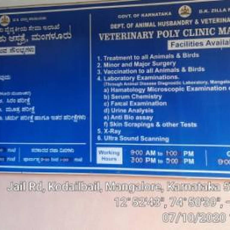 Government Veterinary Polyclinic Veterinarian In Kodailbail