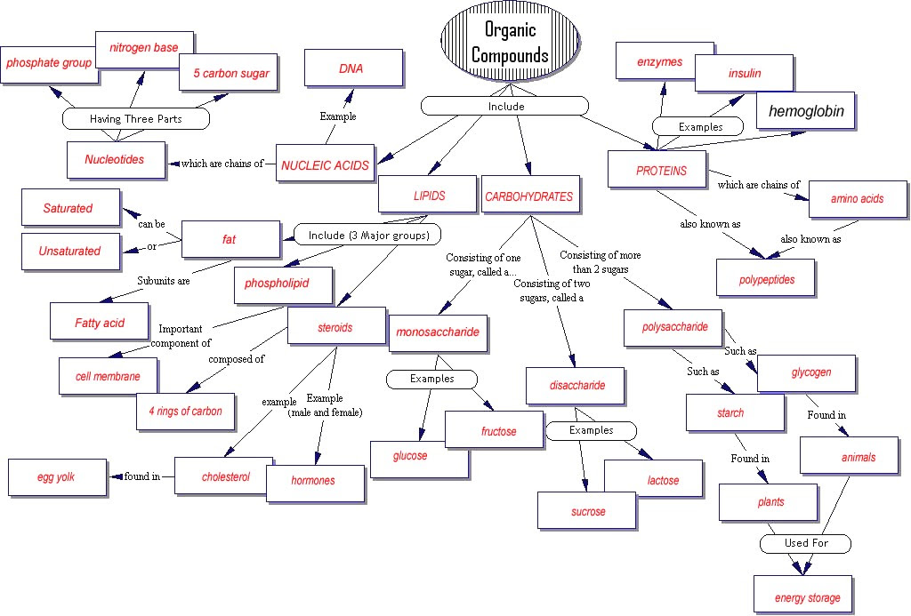 Health Science Heartbeat Organic Compounds Concept Map