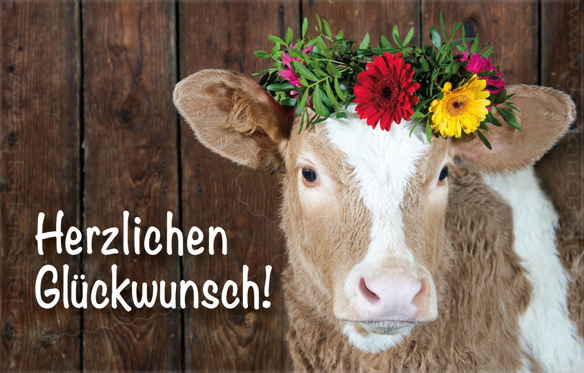 Geburtstag Grüße Mit Bild