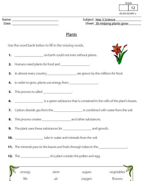 5th Grade Science Worksheets