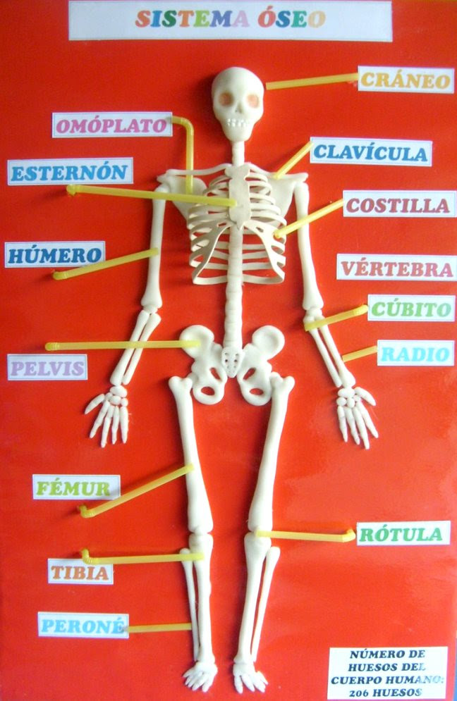 Ciencias En El Cic Retos Tema 6 3º Eso