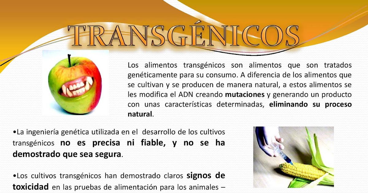 Nutricionista Estudiar Articulos De Alimentos Transgenicos