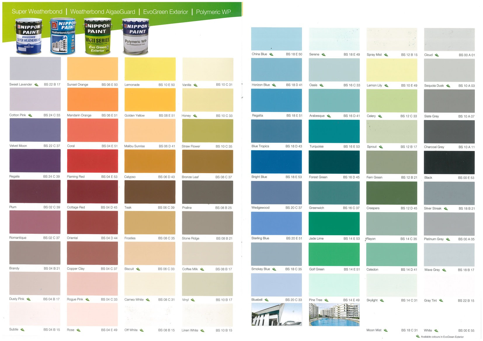 48 Inspirasi Terpopuler Nippon Paint Color Chart