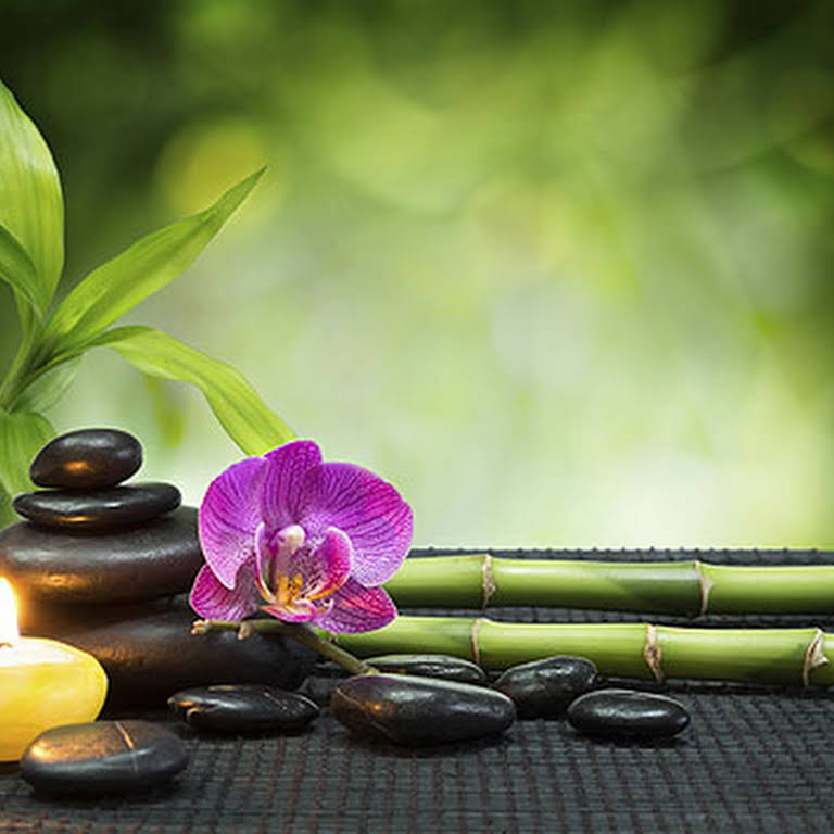 New Lotus Therapy Massage Therapist In Columbia