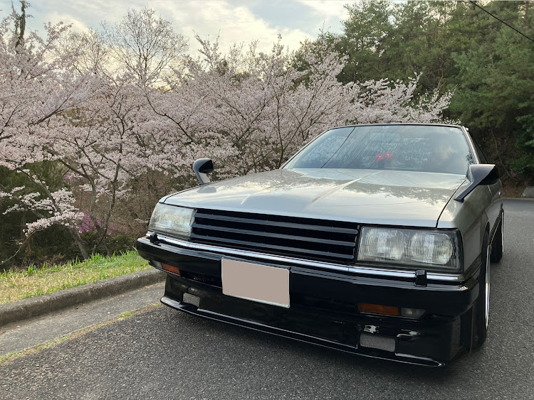 スカイラインの桜とコラボ・サクラと愛車に関するカスタム事例｜車のカスタム情報はcartune