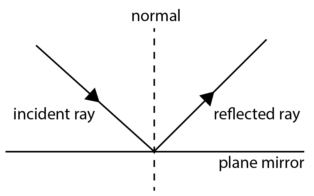 Ray Model Of Light Secondary 1 Science Geniebook