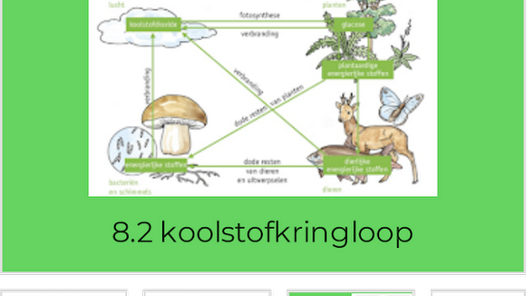 82 Koolstofkringloop Lessonup