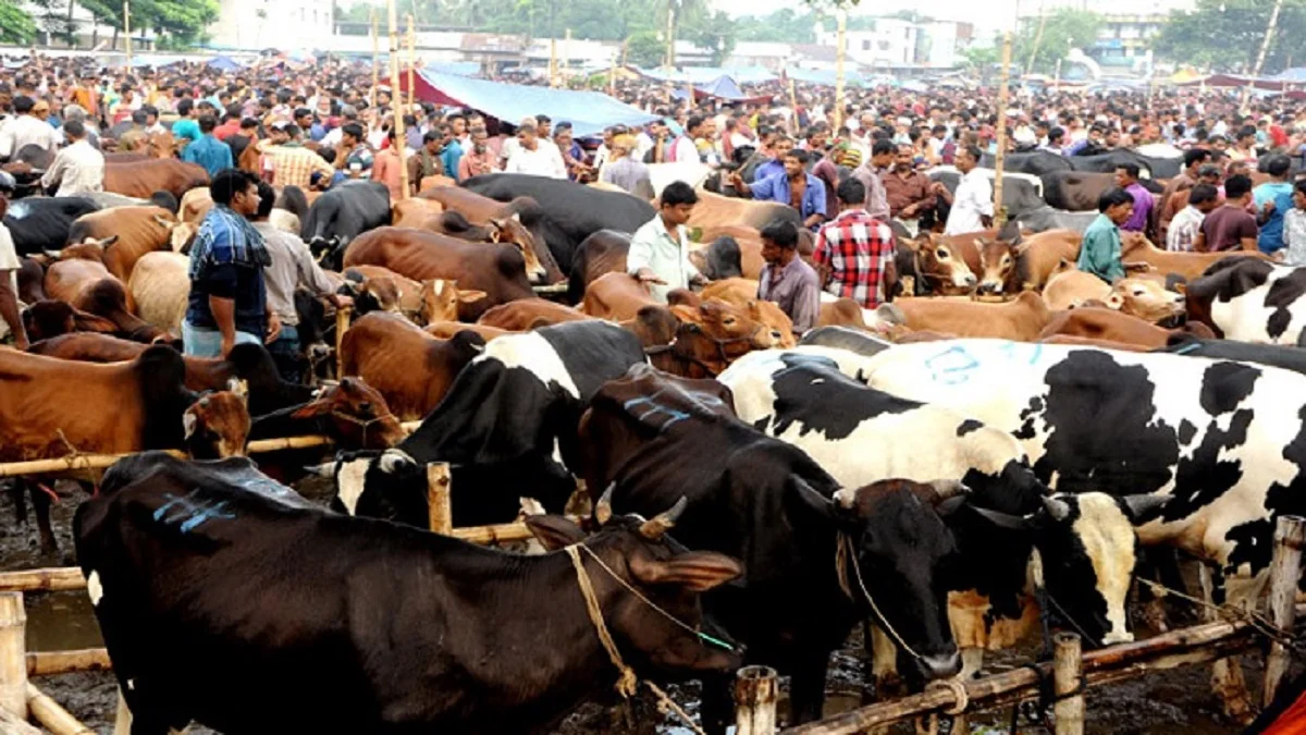 রাজধানীর ১৭ স্থানে বসবে কোরবানির পশুর হাট রাজধানীর ১৭ স্থানে বসবে