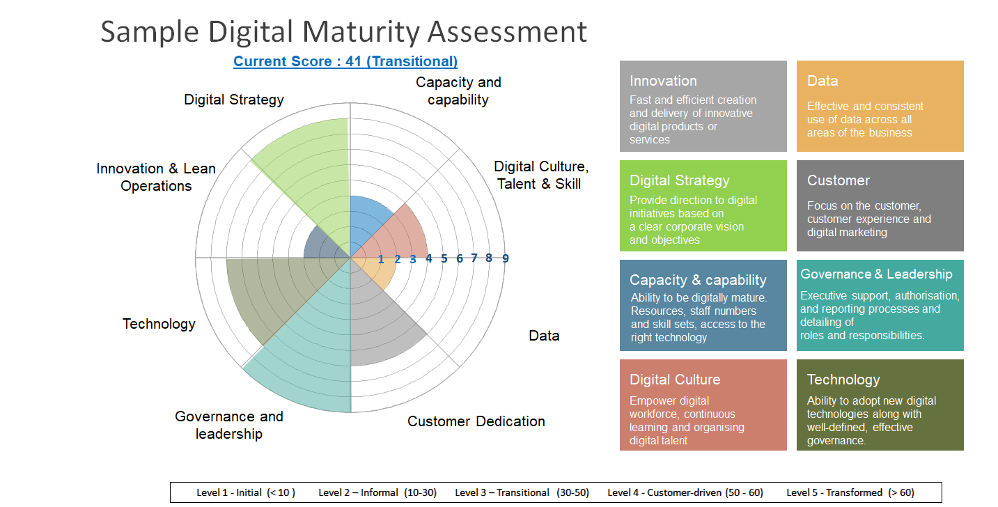 Digital Maturity Assessment