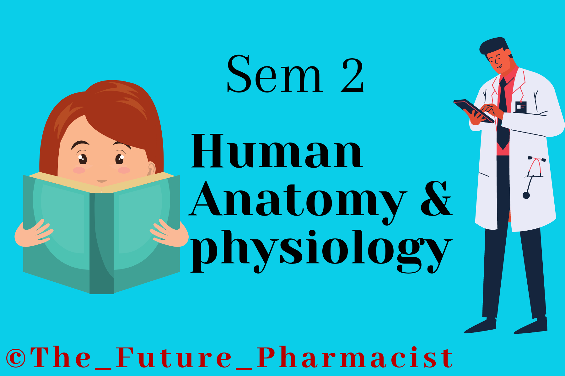 Human Anatomy And Physiology Ii Download Best B Pharmacy Sem 2 Notes