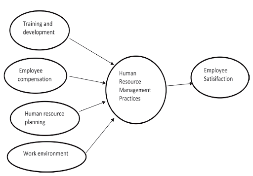 Human Resource Management Process Human Resource Management Practices