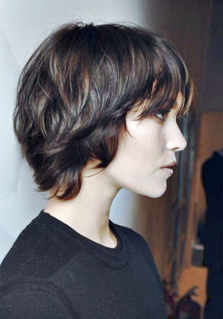 Long Pixie Haircut For Thin Hair Lasopahelper