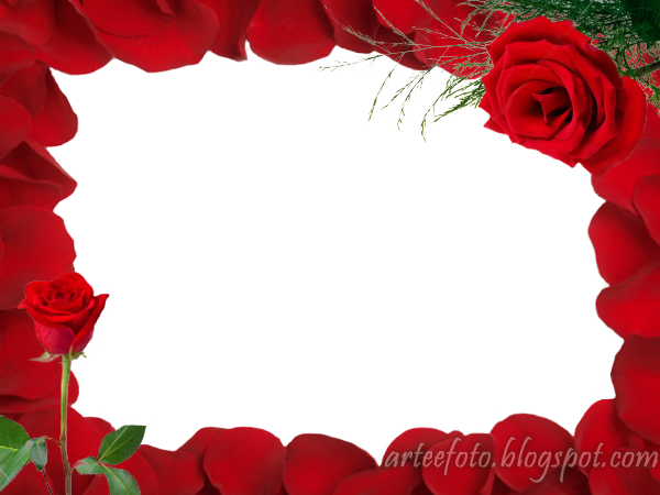 Actualizar 42 Imagem Fundo Flores Vermelhas Png Vn