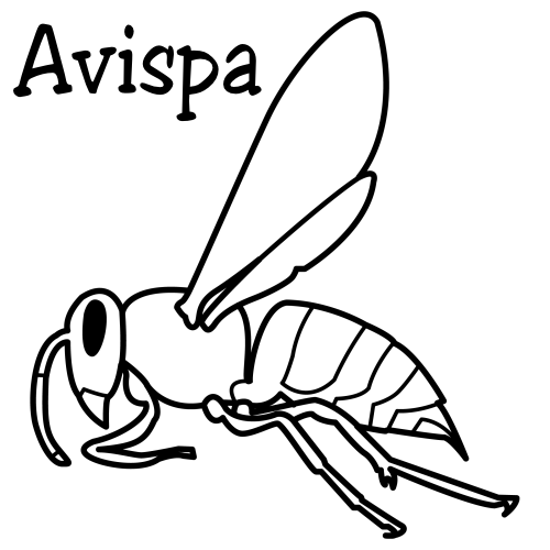 Avispas Colorare Disegno Wasp Insekten Calabrone Zanzara Insecten