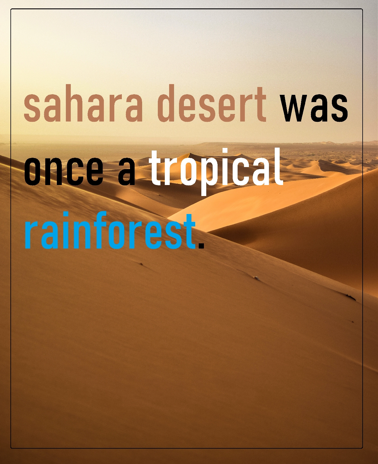 Sahara Desert Was Once A Tropical Rainforest