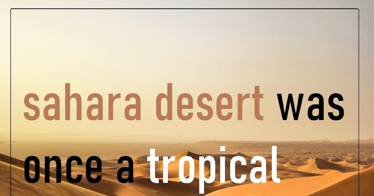Sahara Desert Was Once A Tropical Rainforest