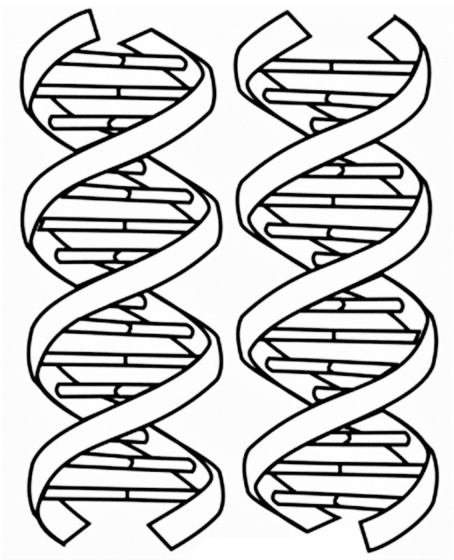 Color Dna Worksheets