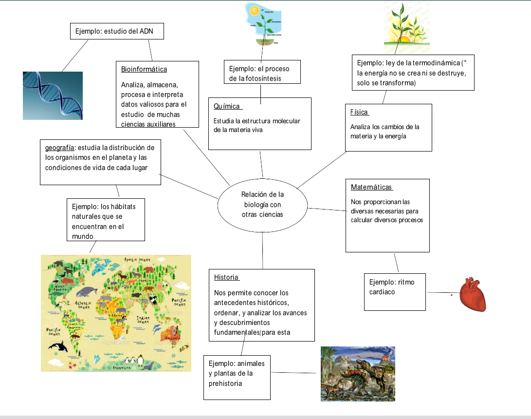 Esquema De La Relacion De La Biologia Con Otras Ciencias Estudiar