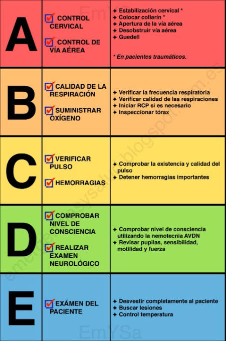 Manejo Del Shock En Urgencias Urgencias