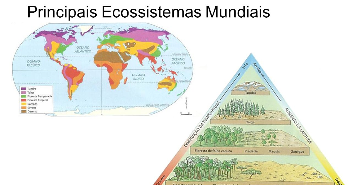 Qual A Diferença Entre Ecossistema E Biomas Modisedu