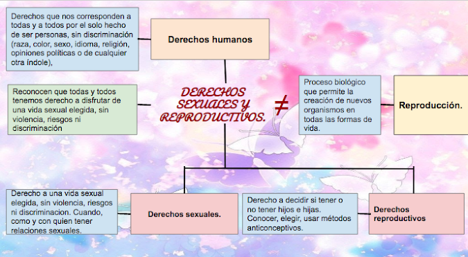 Derechos Sexuales Y Reproductivos Mentefacto