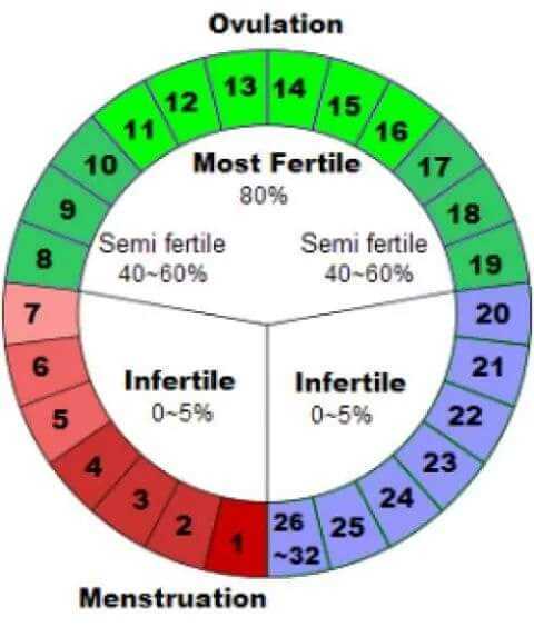 Homeopathy Titbits Ovulation Calendar