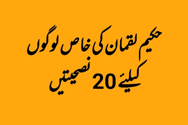 20 Hakeem Luqmans Quotes In Urdu Urdu Quotes