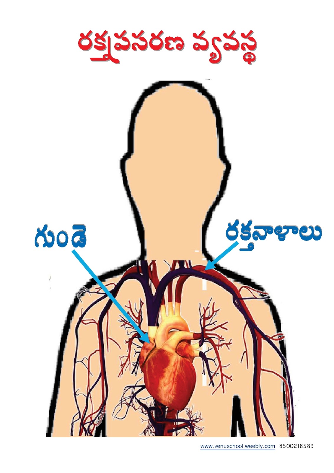 Evs Tlm Teaching Learning Material Prepared By Teachers And Students