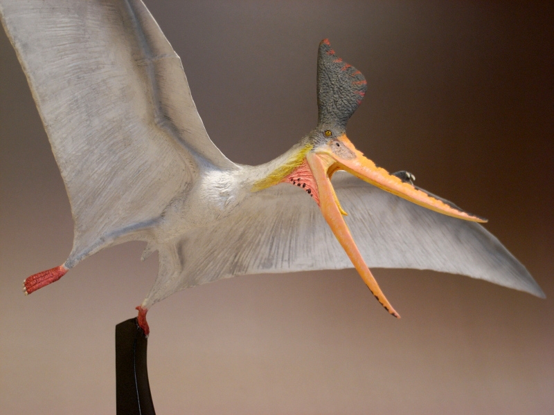 Hirokazu Tokugawas Paleo Sculpture Pteranodon Sternbergi