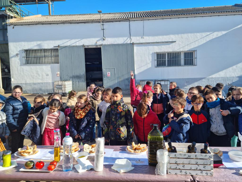 Ceip Carlos Iii GuarromÁn Visita A La Almazara