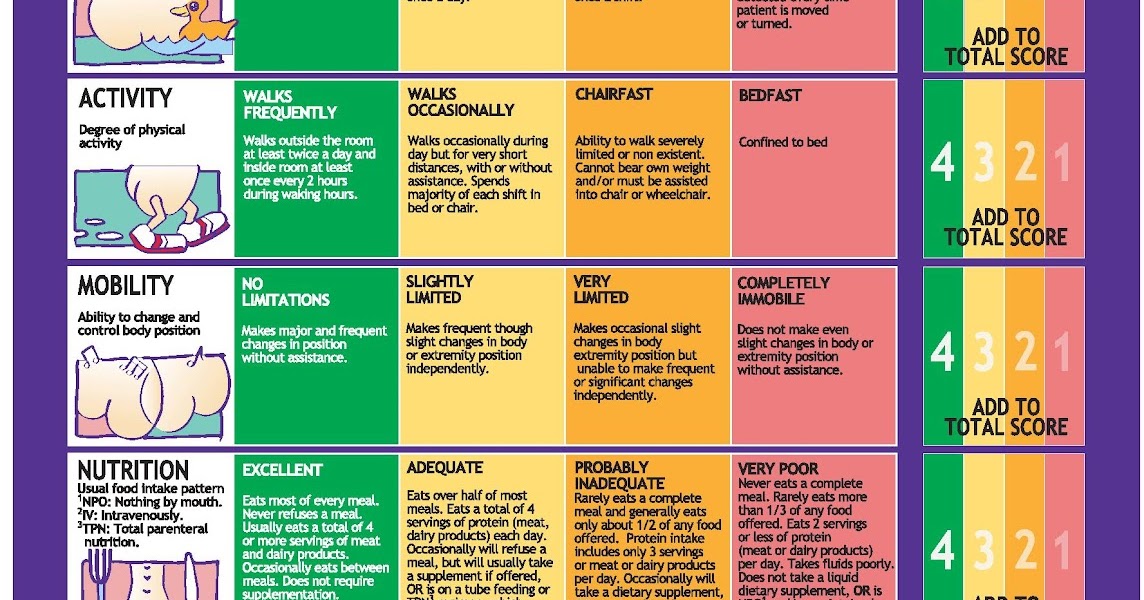 Braden Scale Printable