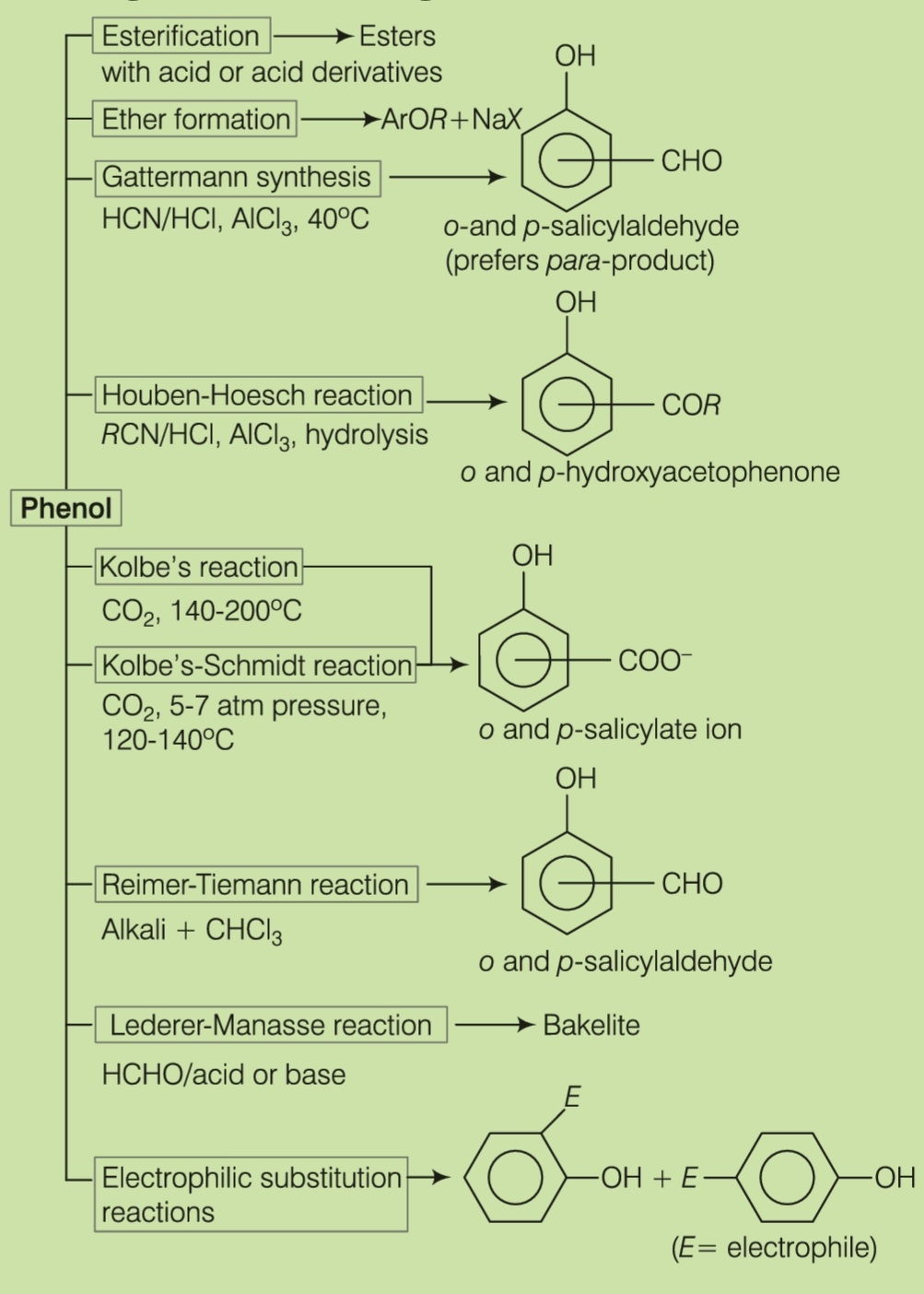 Phenol Preparation And Properties