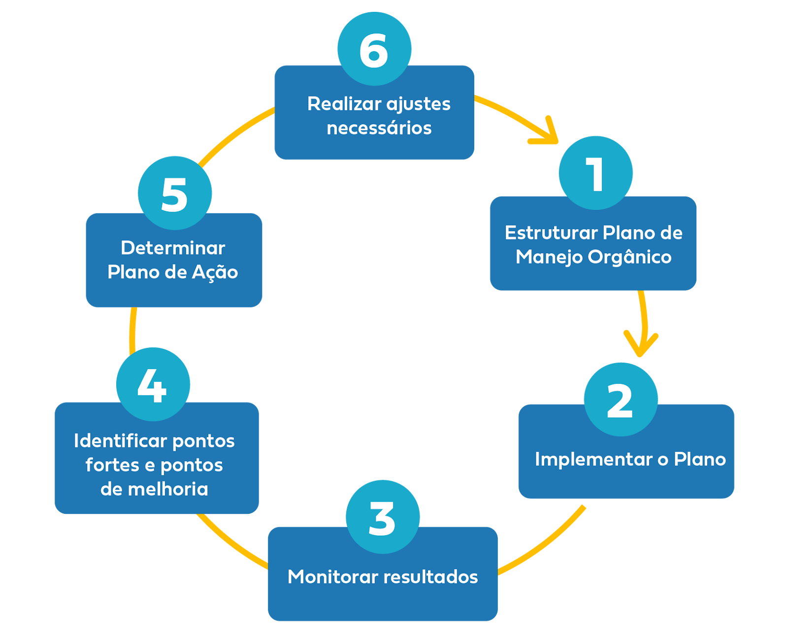 Como Utilizar O Plano De Manejo Orgânico A Seu Favor Paripassu