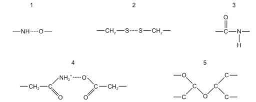 The Diagrams Show Different Types Of Bond Found In Biological Moleculesw