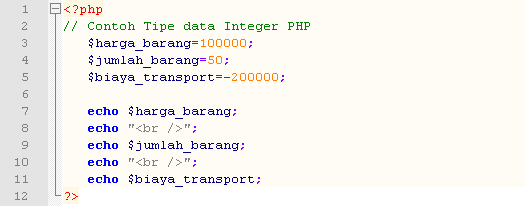 Tutorial Php Tipe Data Integer Dan Cara Penulisan Integer Php